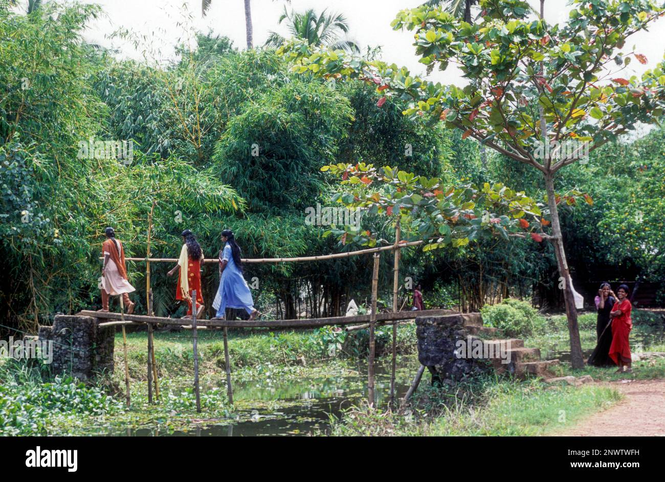 Three women crossing the Backwaters of Kerala through small wooden ...