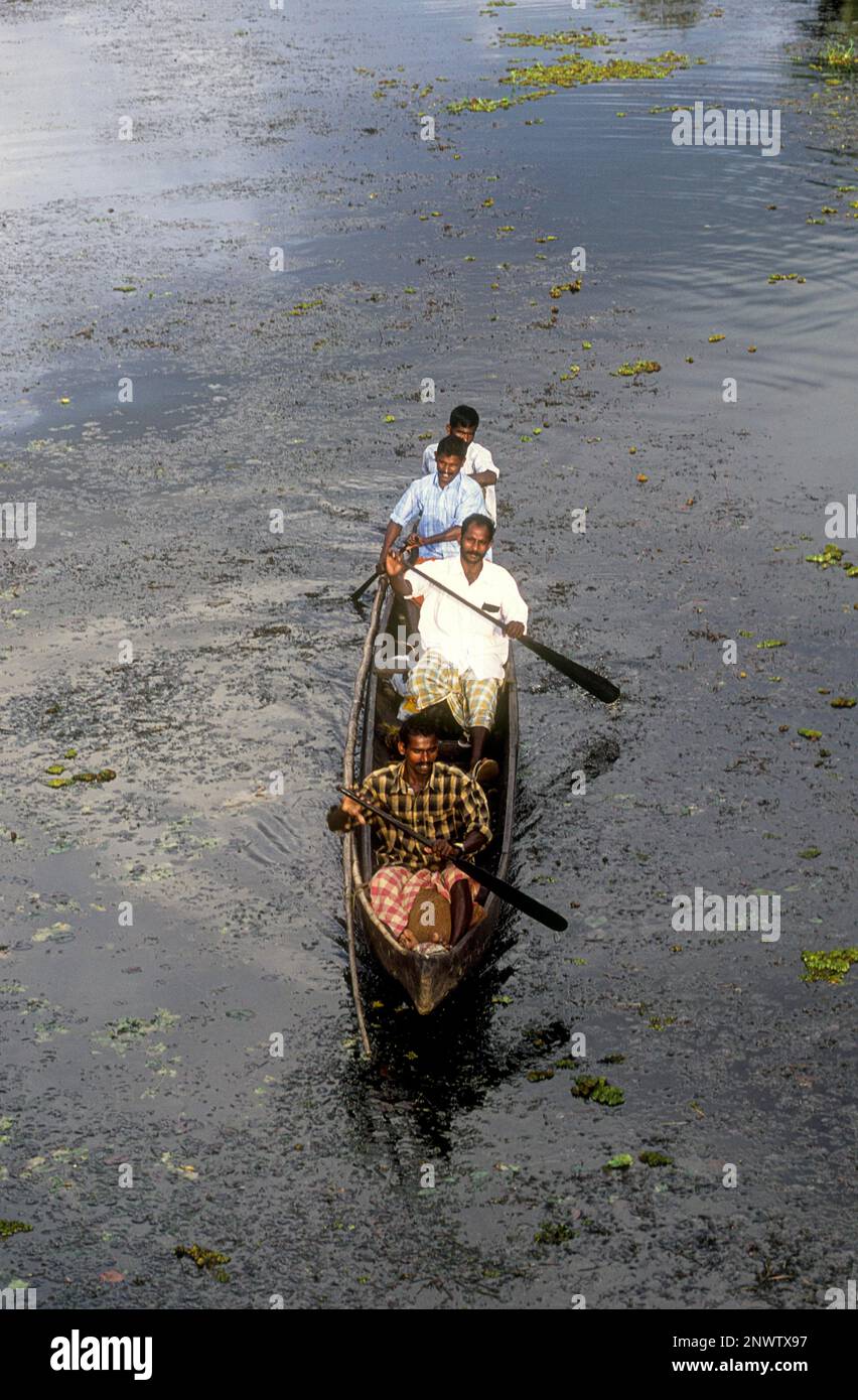 Backwaters of Kuttanad, Kerala, South India, India, Asia Stock Photo ...
