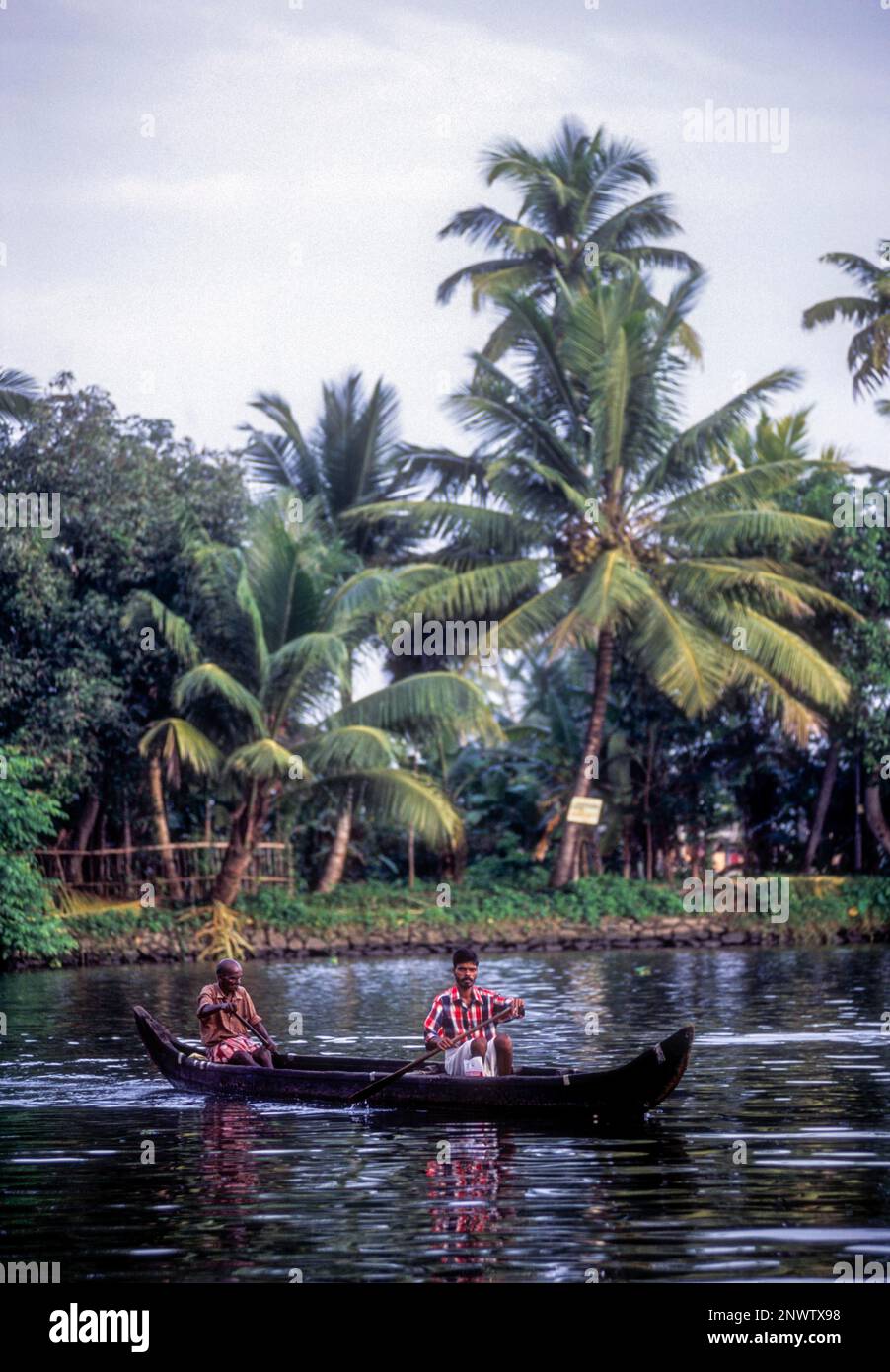 Backwaters of Kuttanad, Kerala, South India, India, Asia Stock Photo ...