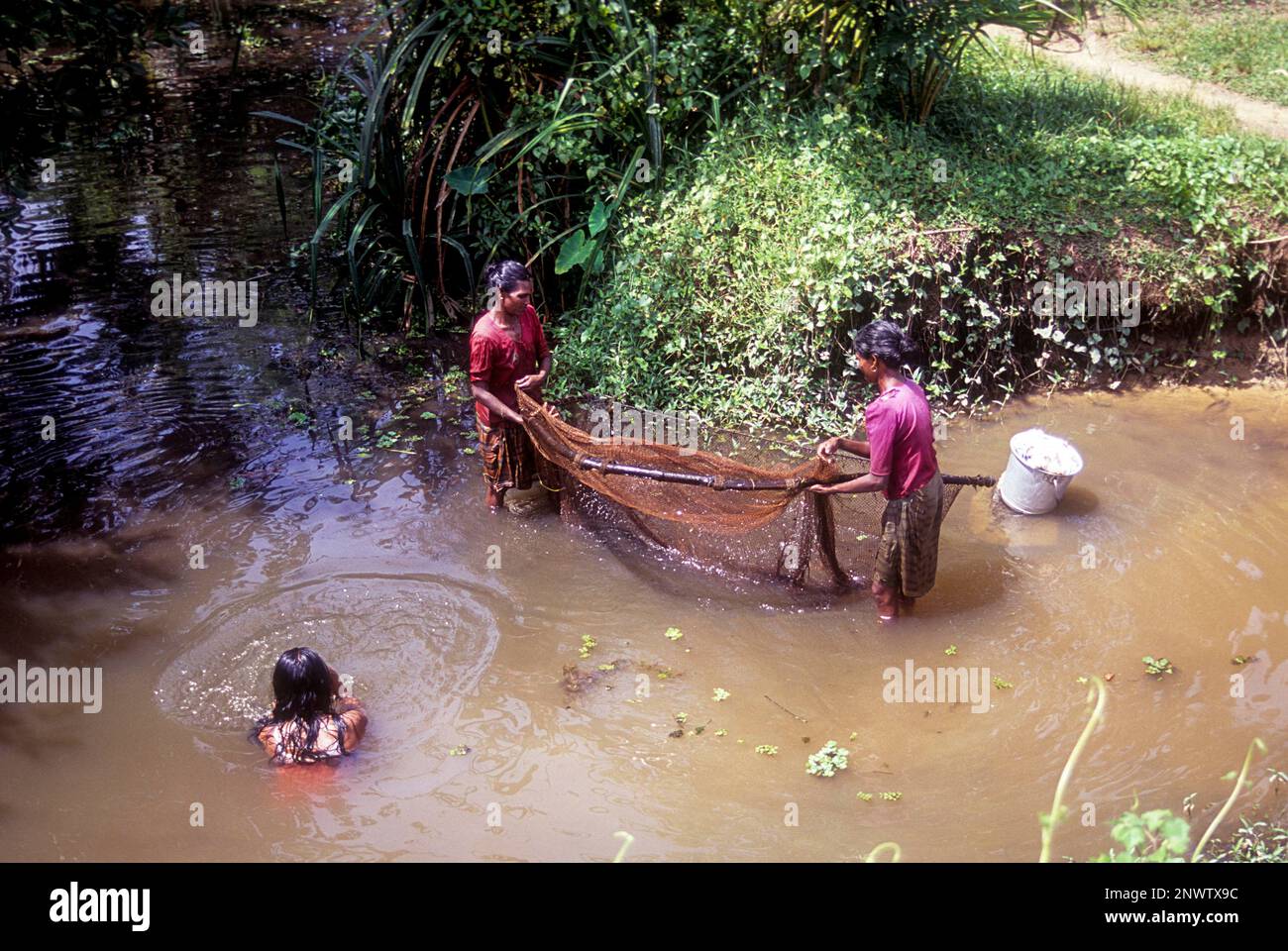 Women fishing, Backwaters of Kodungallur, Kerala, South India, India ...