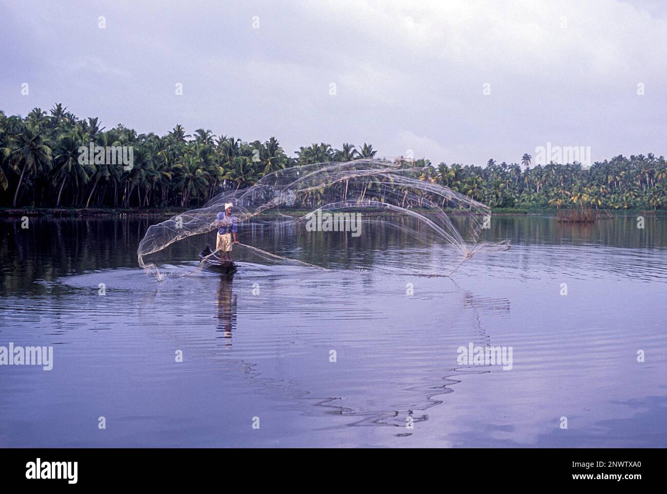 Fishing, Backwaters of Alappuzha Alleppey, Kerala, South India, India ...