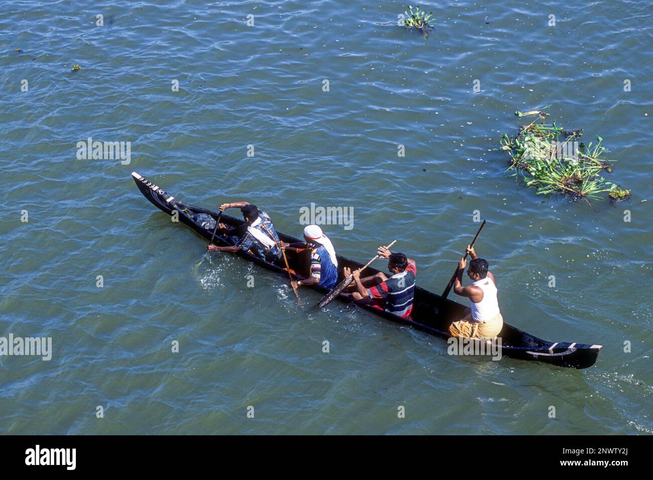 Boat rowers rowing the boat, Backwaters of Kumarakom, Kerala, South ...