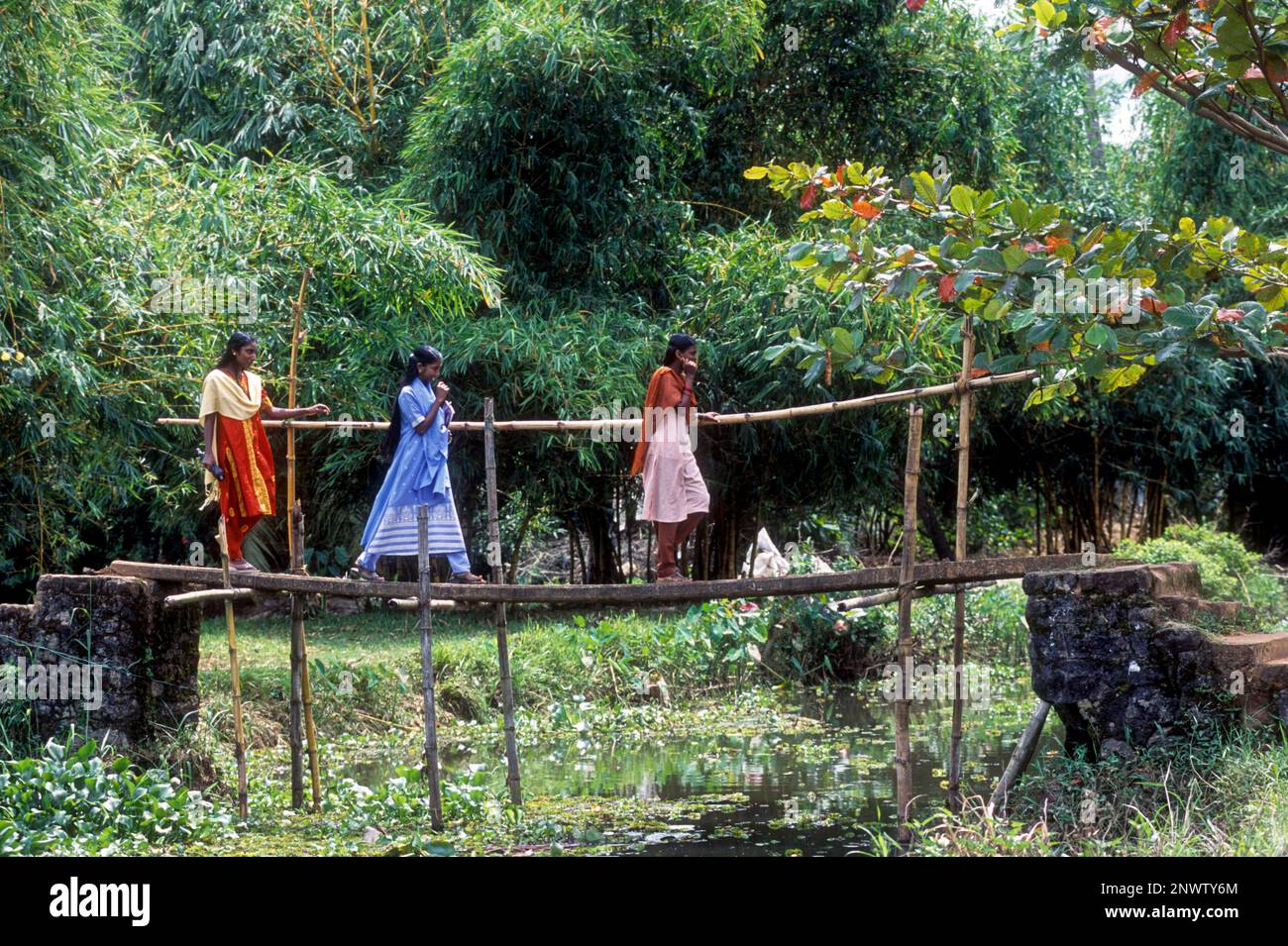 Girls crossing Backwaters of Kerala through small wooden plank, South ...