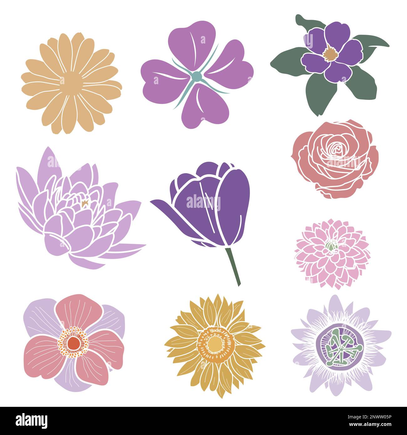 Simple blossom flowers bundle, isolated on white, vector illustration ...