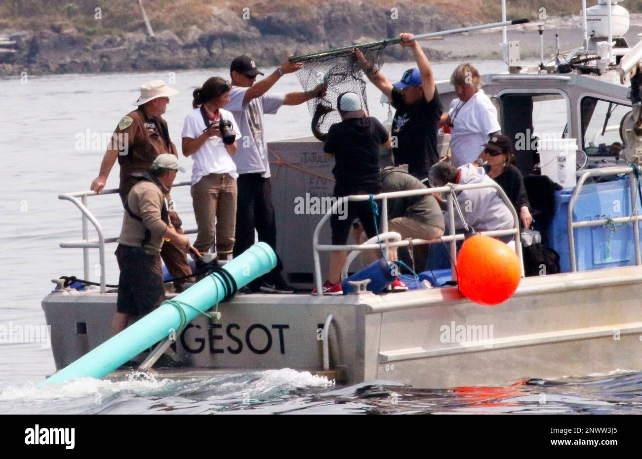 Aboard a Lummi Nation police boat, tribal members, NOAA and others use ...