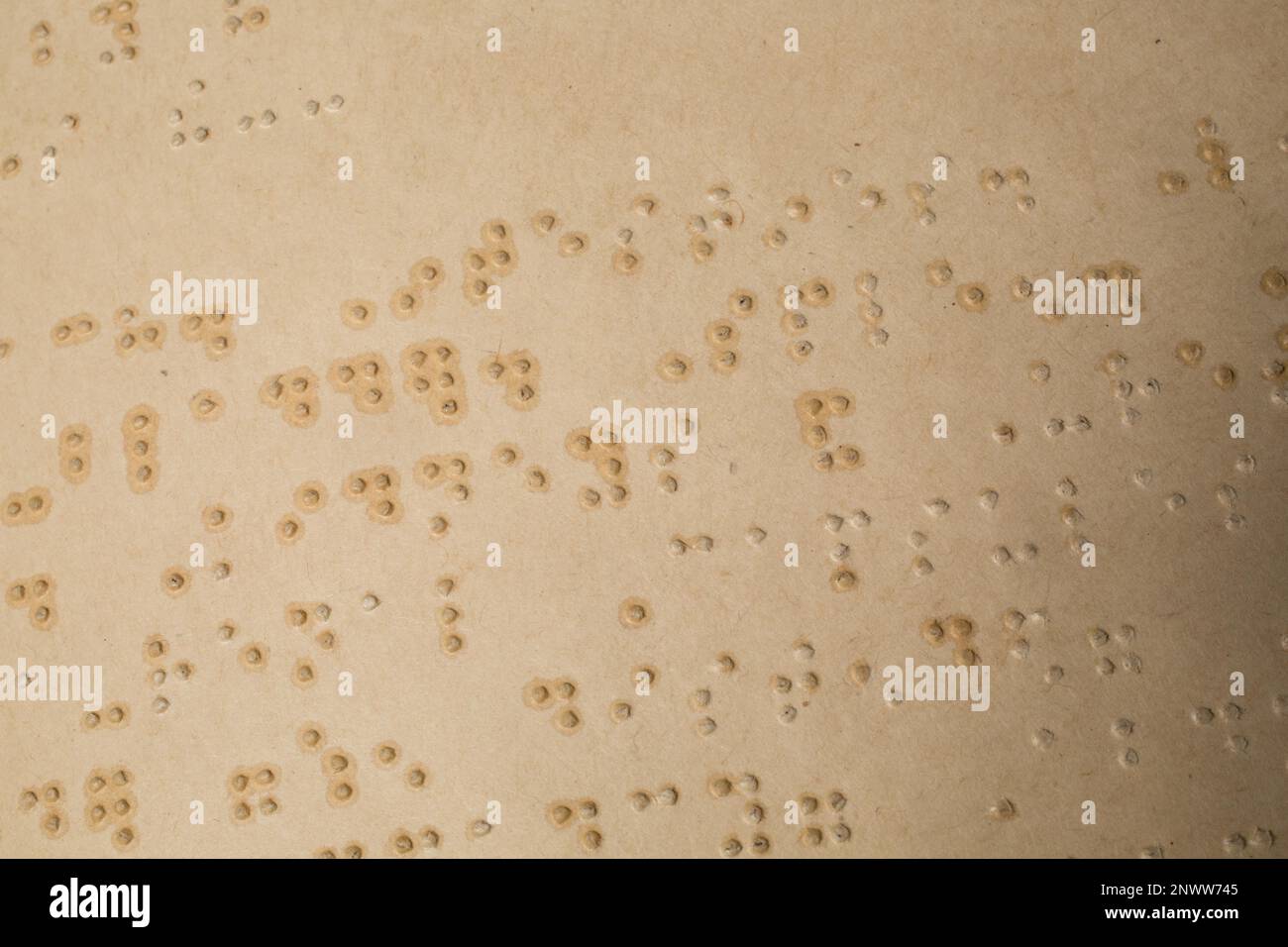 January is World Braille Month in honor of Louis Braille who was born on 4 January 1809. Blinded ...