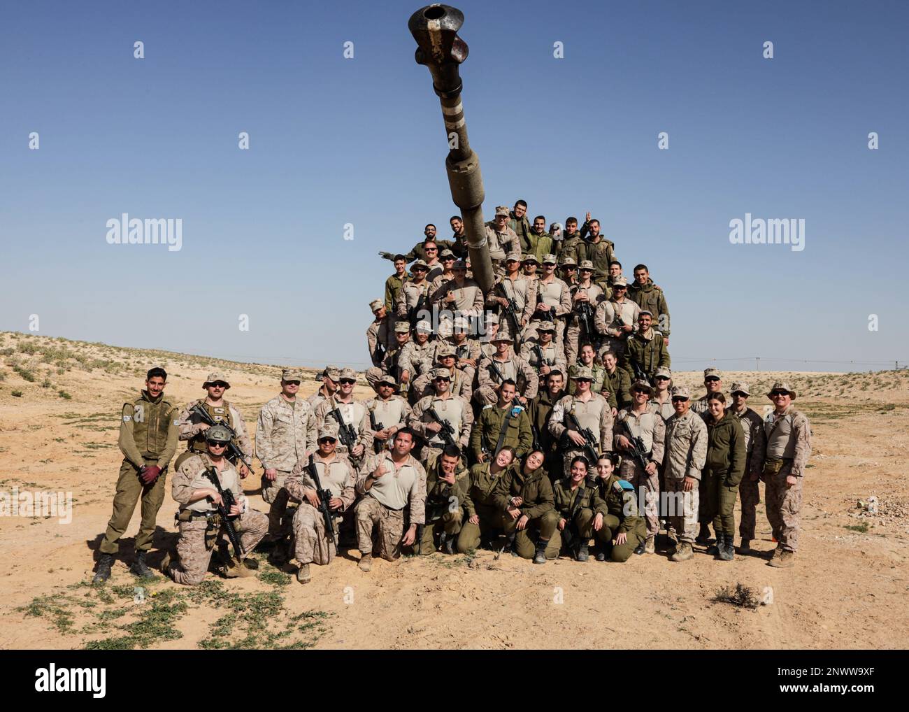 U.S. Marines with 3rd Air Naval Gunfire Liaison Company, U.S. Marine ...