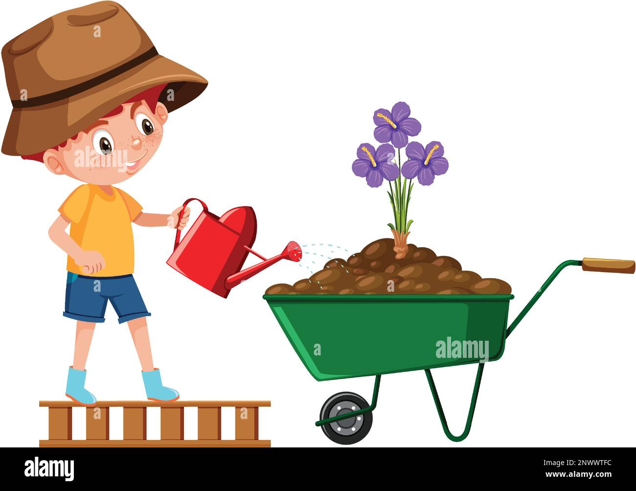 A boy watering flower in wheelbarrow illustration Stock Vector Image ...