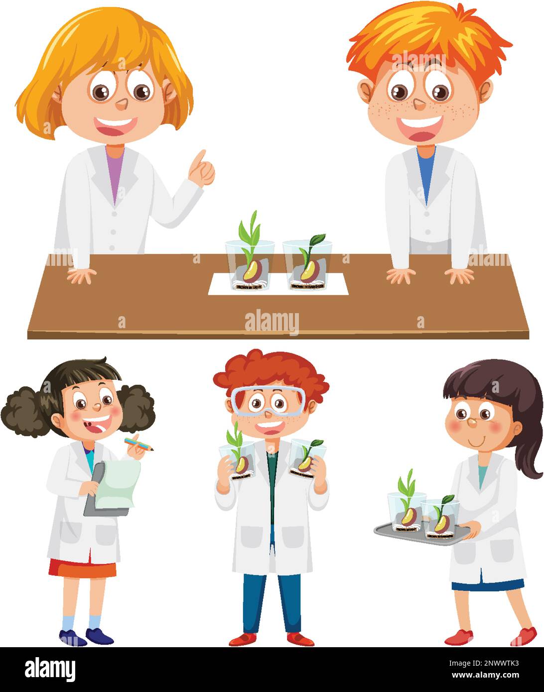 Scientist and student doing chemistry experiment illustration Stock ...