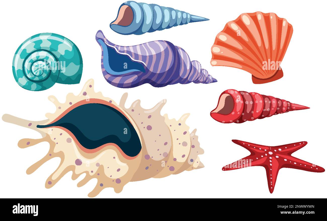 Set of seashell simple cartoon illustration Stock Vector Image & Art ...