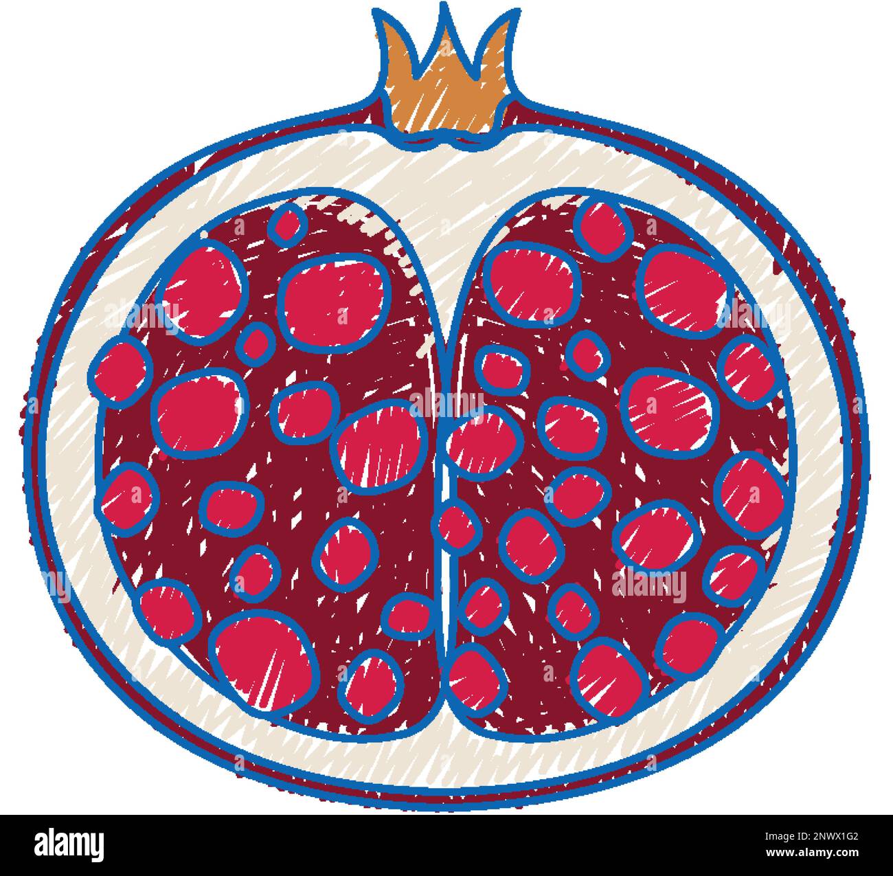 Pomegranate fruit pencil colour child scribble style illustration Stock ...