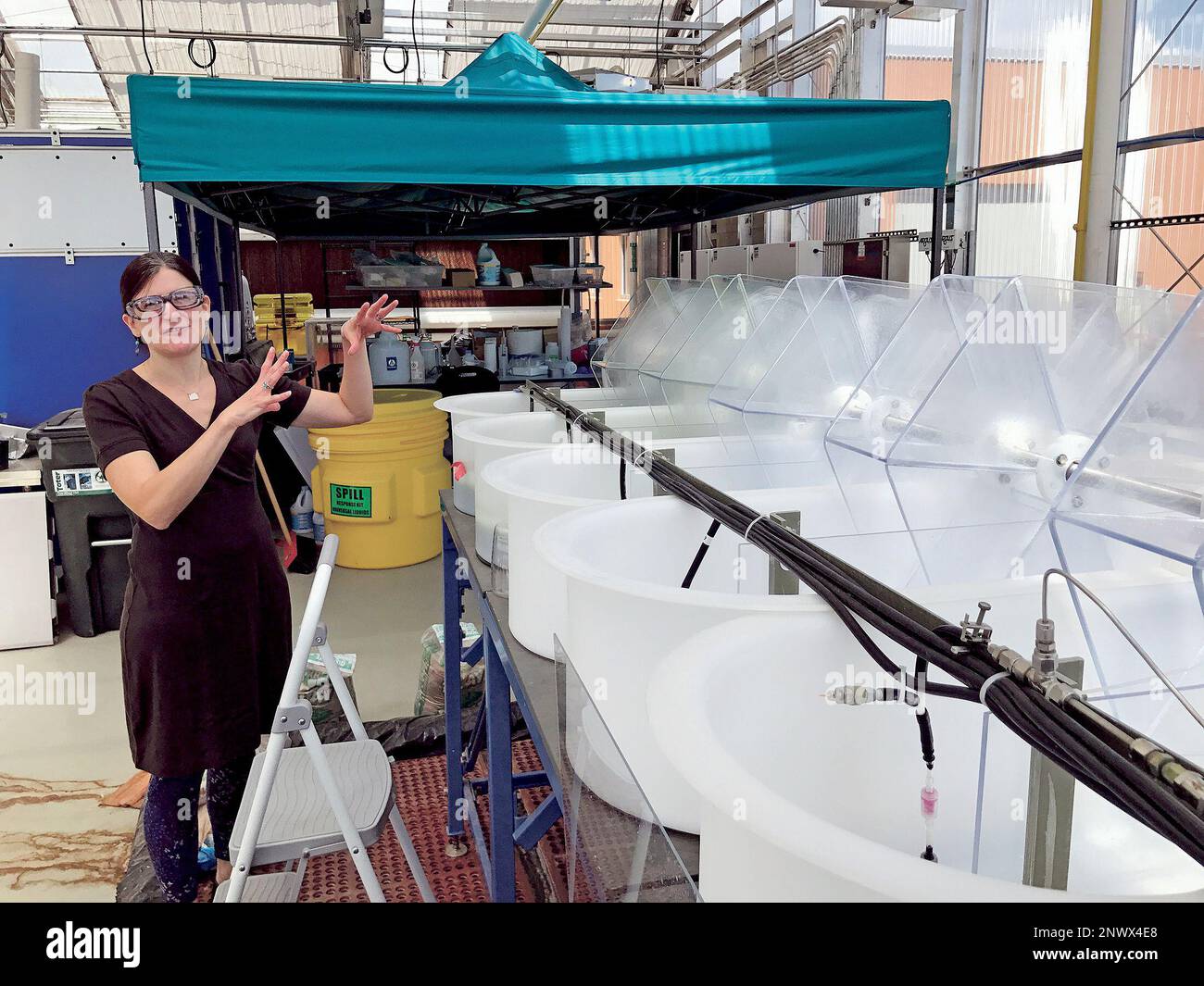 Algae biofuel production hi-res stock photography and images - Alamy