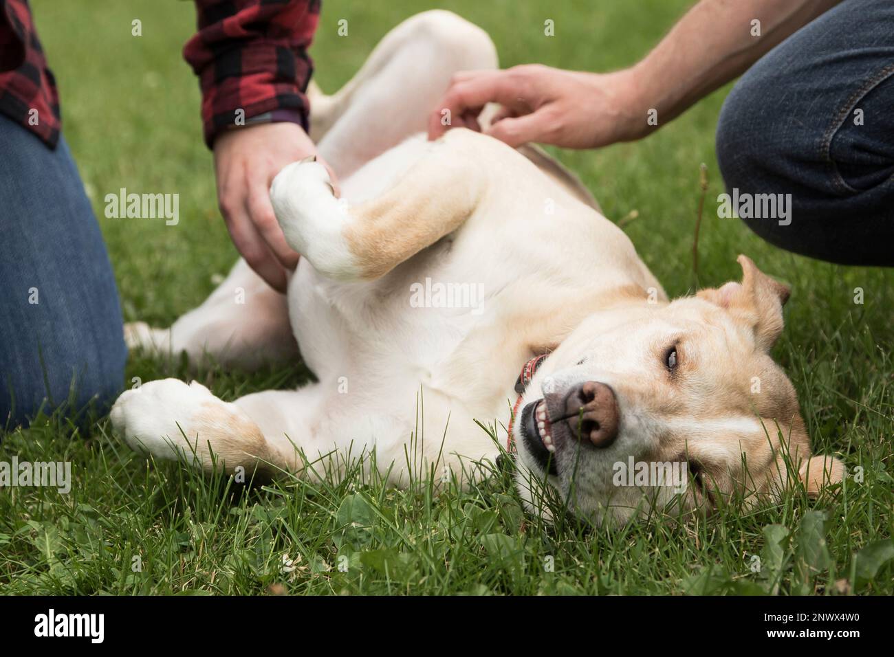 ADVANCE FOR WEEKEND EDITIONS, AUG. 4-5 - In this June 18, 2018 photo ...