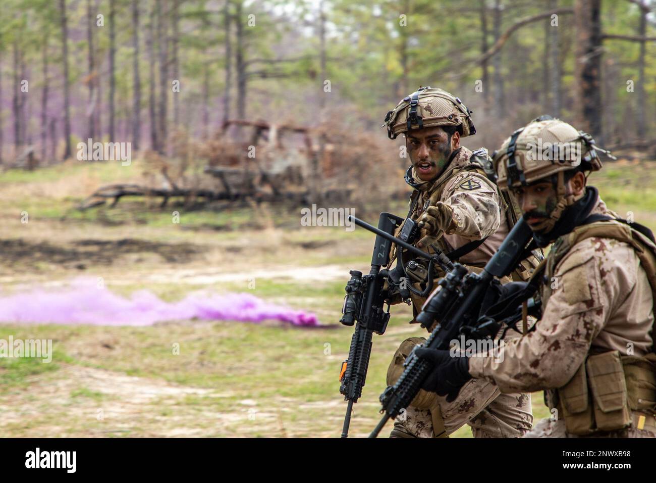 United Arab Emirates soldiers from the 11th Mountain Battalion bound in ...