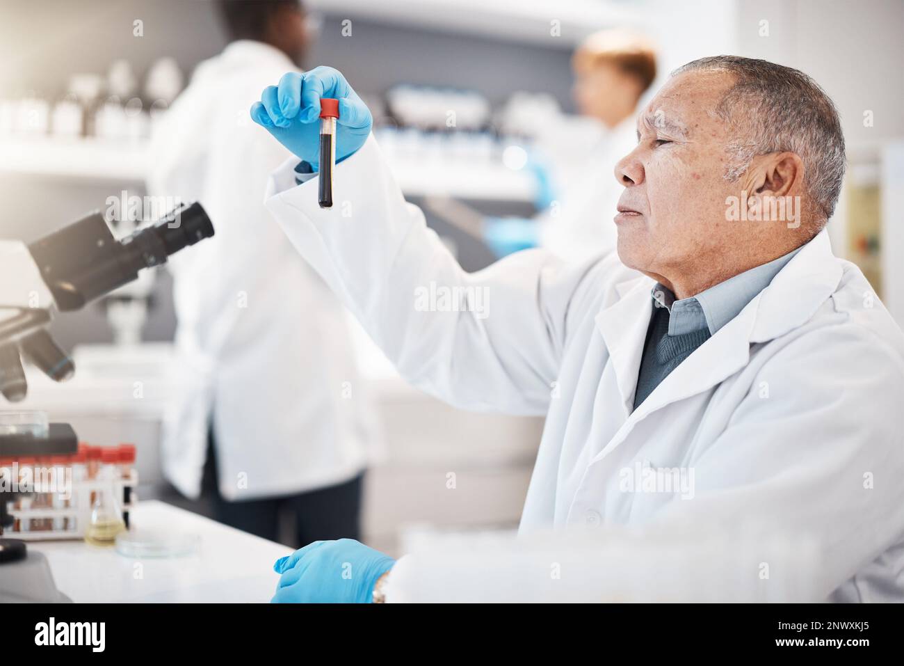 Old man study hi-res stock photography and images - Alamy