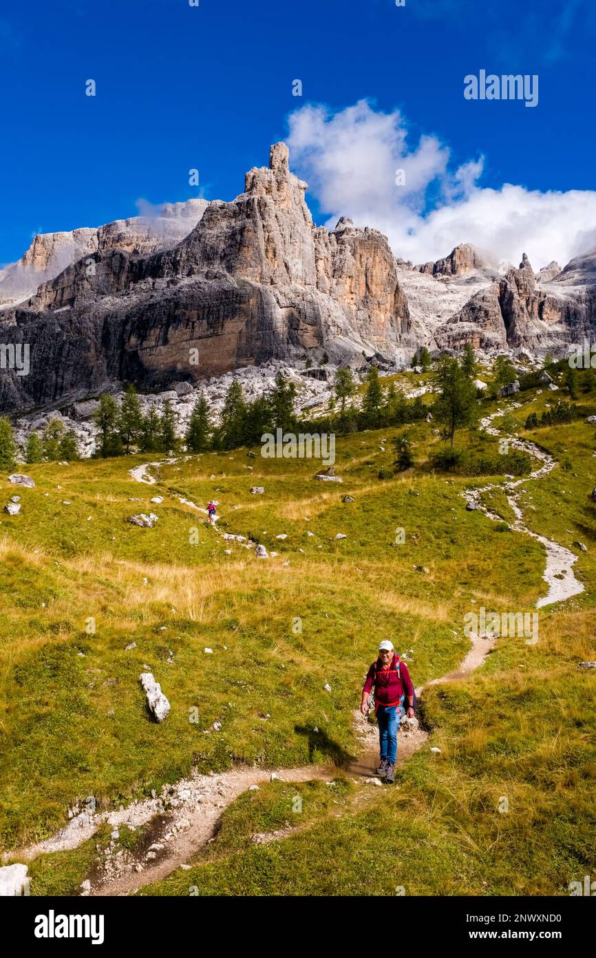 A hiker on the path in Brenta Dolomites leading to the mountain hut ...