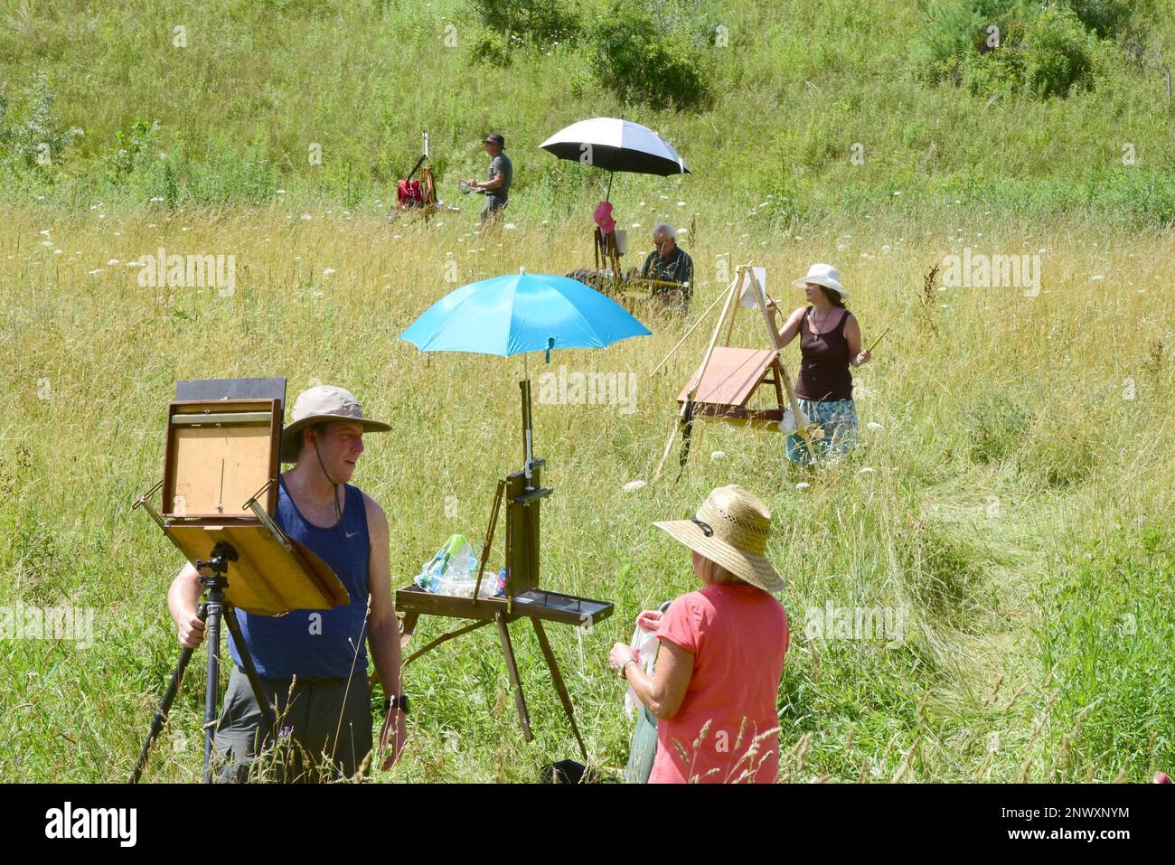 At least a half a dozen artists paint in a field along Green River Road ...