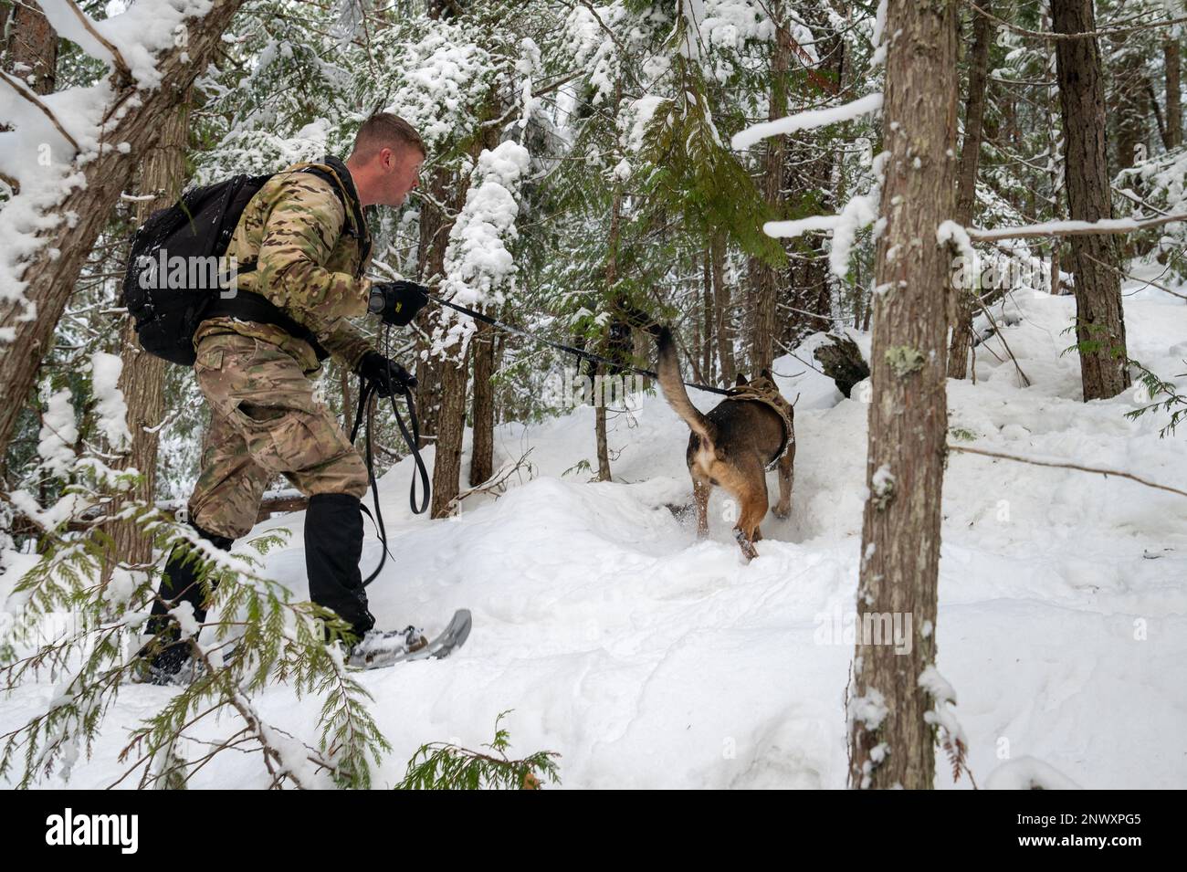 336th training group hi-res stock photography and images - Alamy