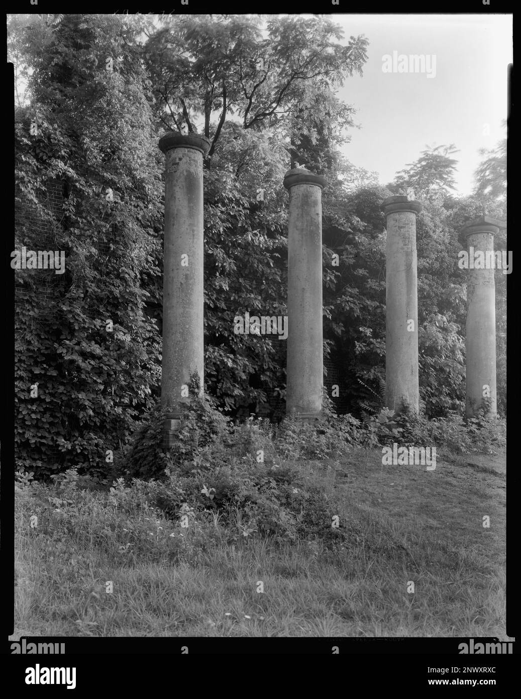 Barboursville, Orange County, Virginia. Carnegie Survey of the ...