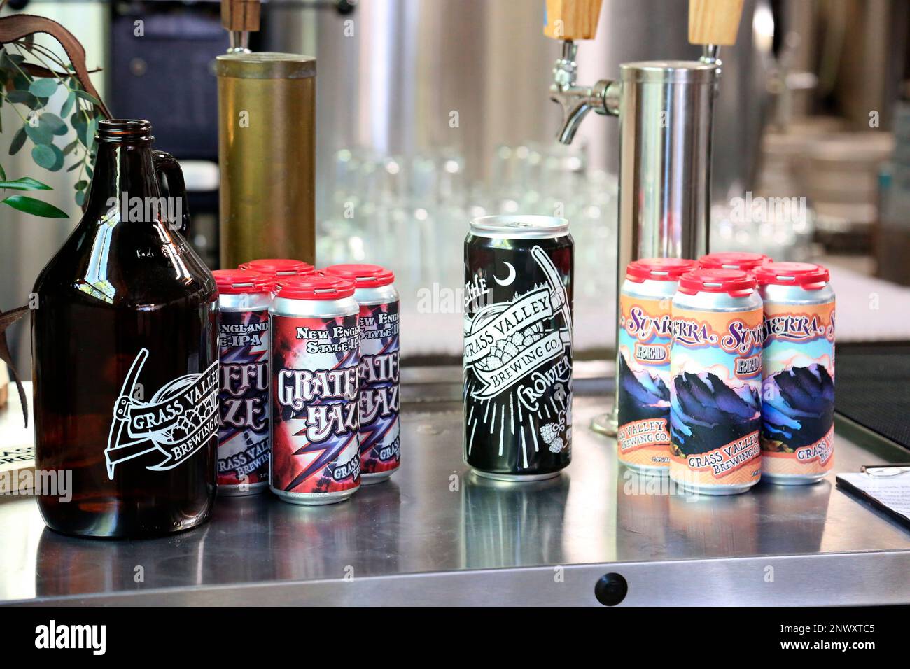 Some of the brewing company's canned beers along with their to-go ...