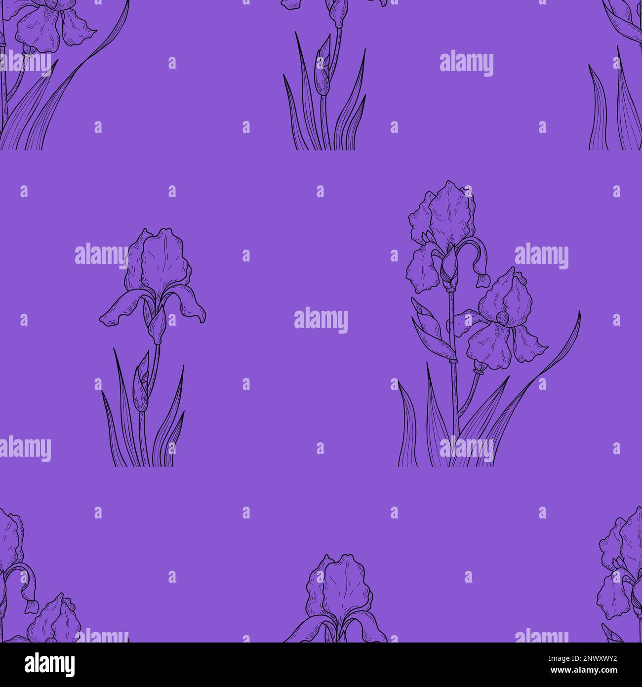 Floral seamless pattern with blooming iris flower with buds and leaves ...