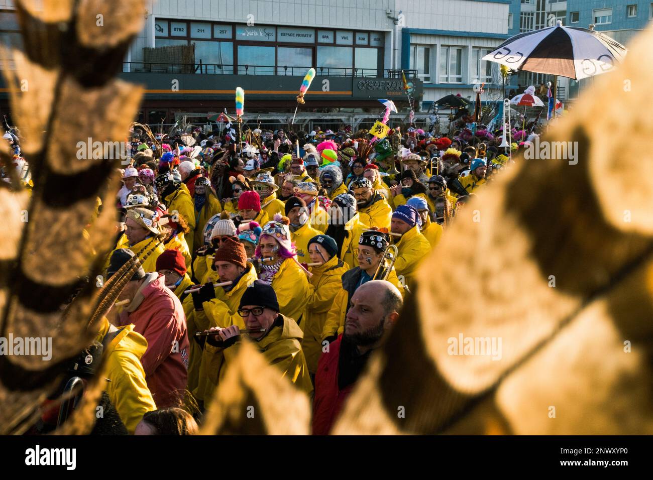 Carnavaleux (partygoers) participate to the Carnaval de Malo, in ...