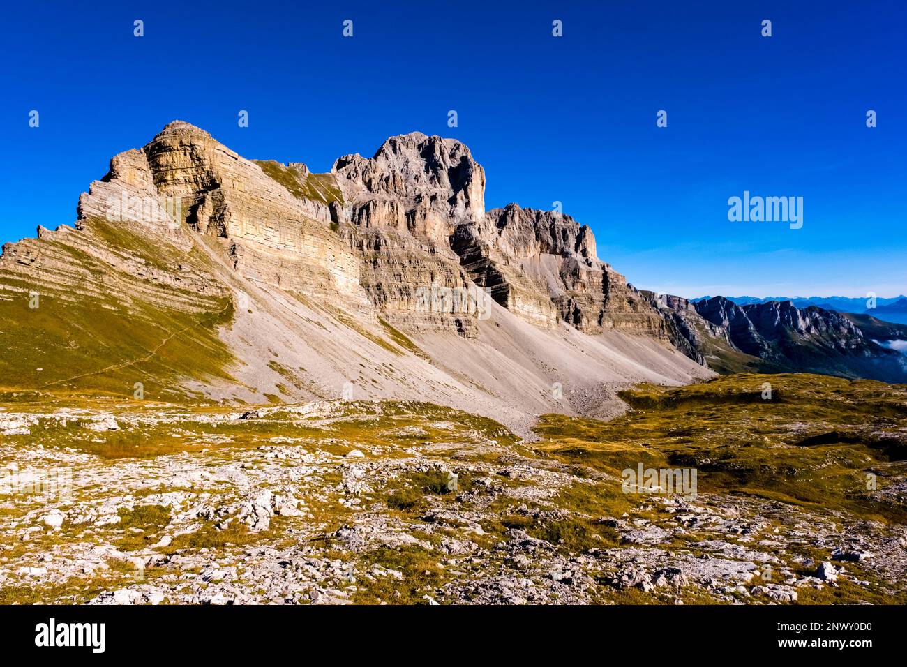 La crosette hi-res stock photography and images - Alamy