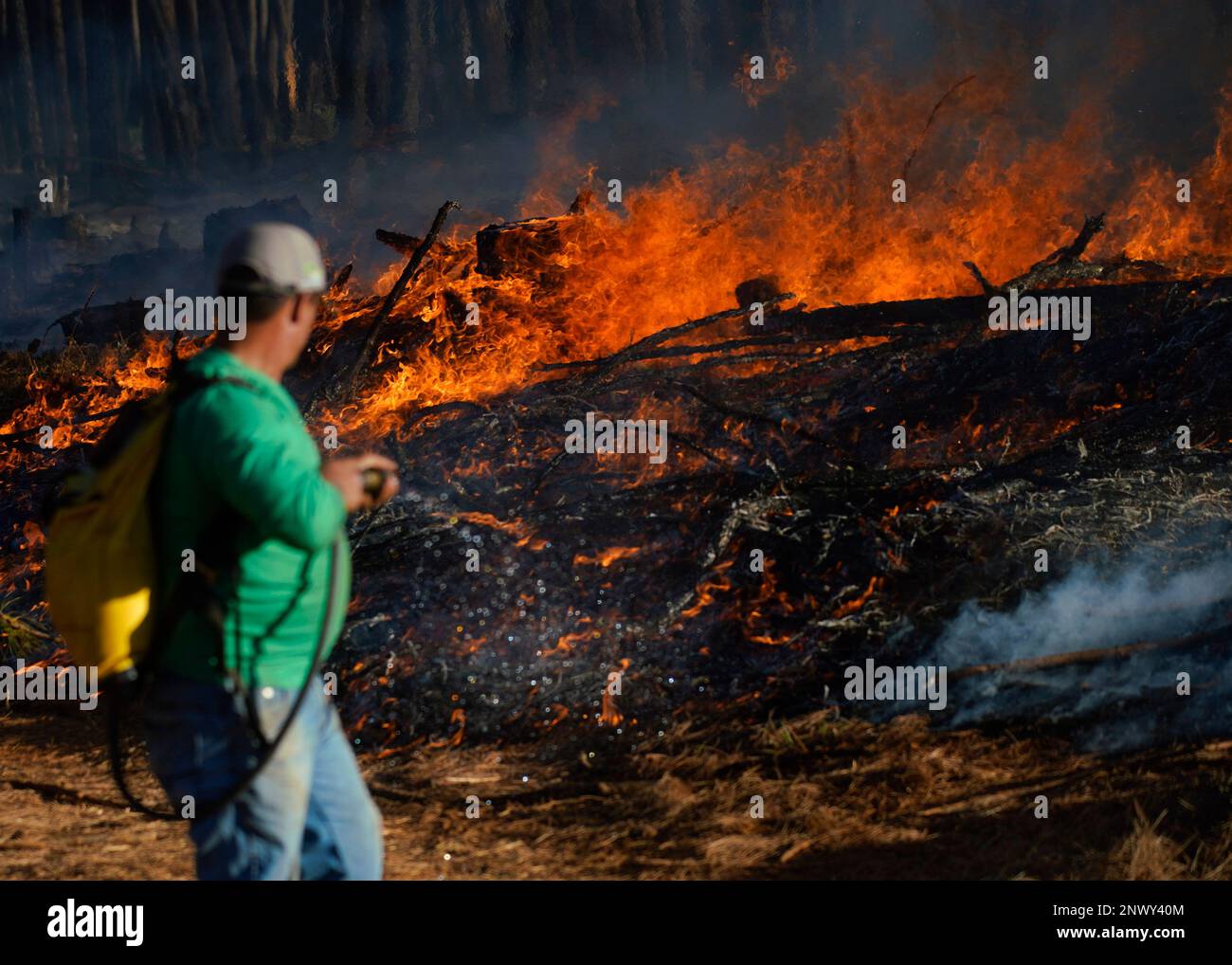 DF - Brasilia - 07/20/2018 - Fire in Paranoa - Military firefighters ...
