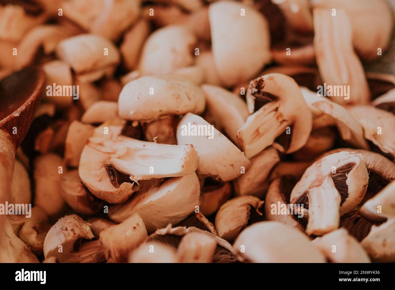 Cooking traditional east European cuisine in the kitchen Stock Photo ...