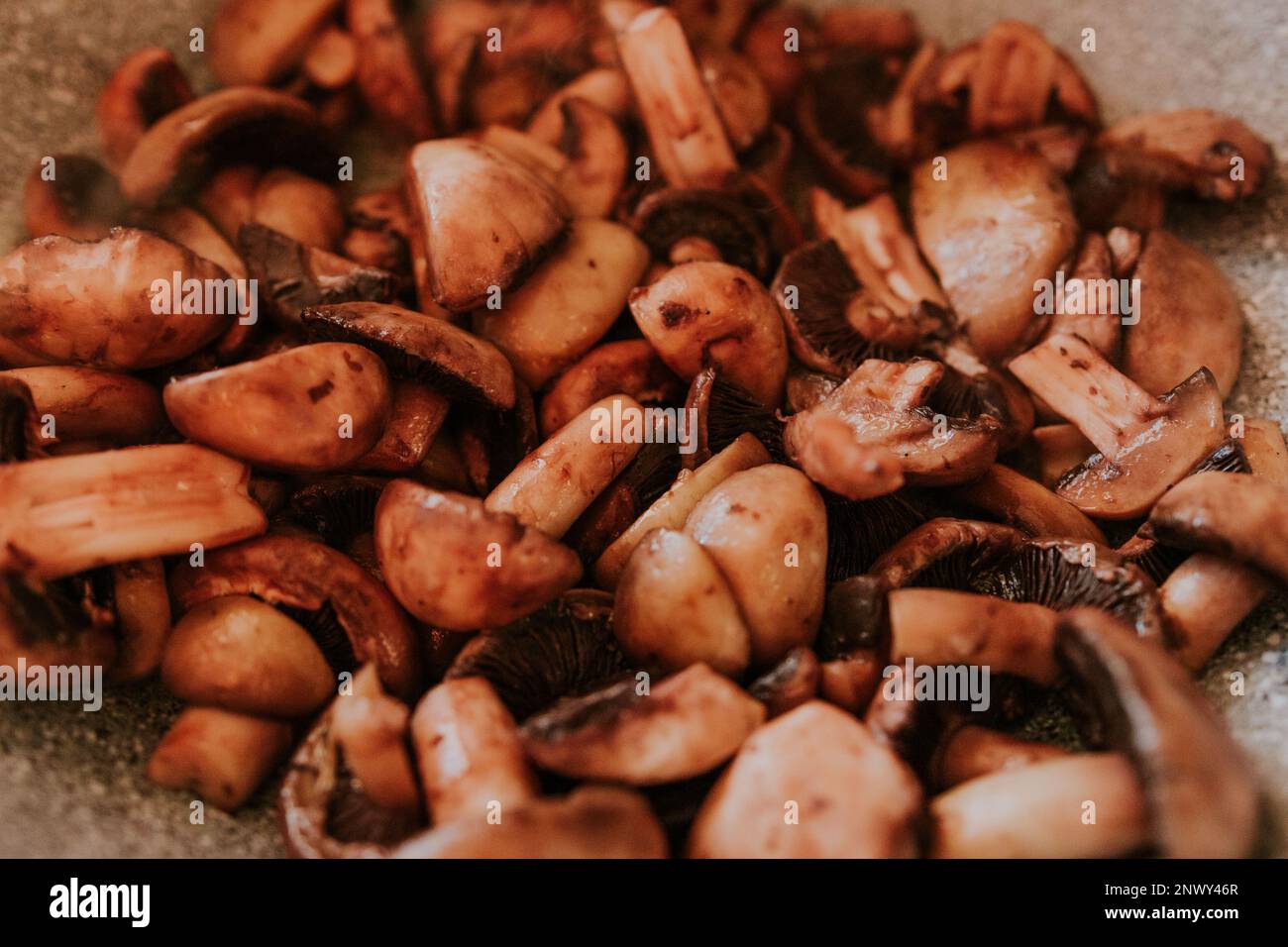 Cooking traditional east European cuisine in the kitchen Stock Photo ...