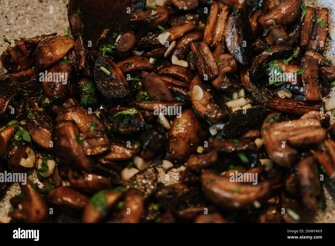 Cooking traditional east European cuisine in the kitchen Stock Photo ...