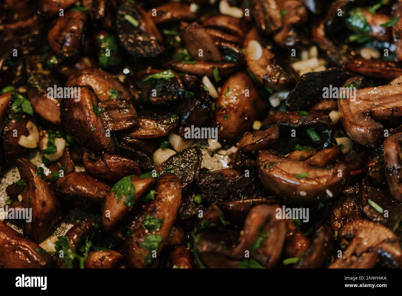 Cooking traditional east European cuisine in the kitchen Stock Photo ...