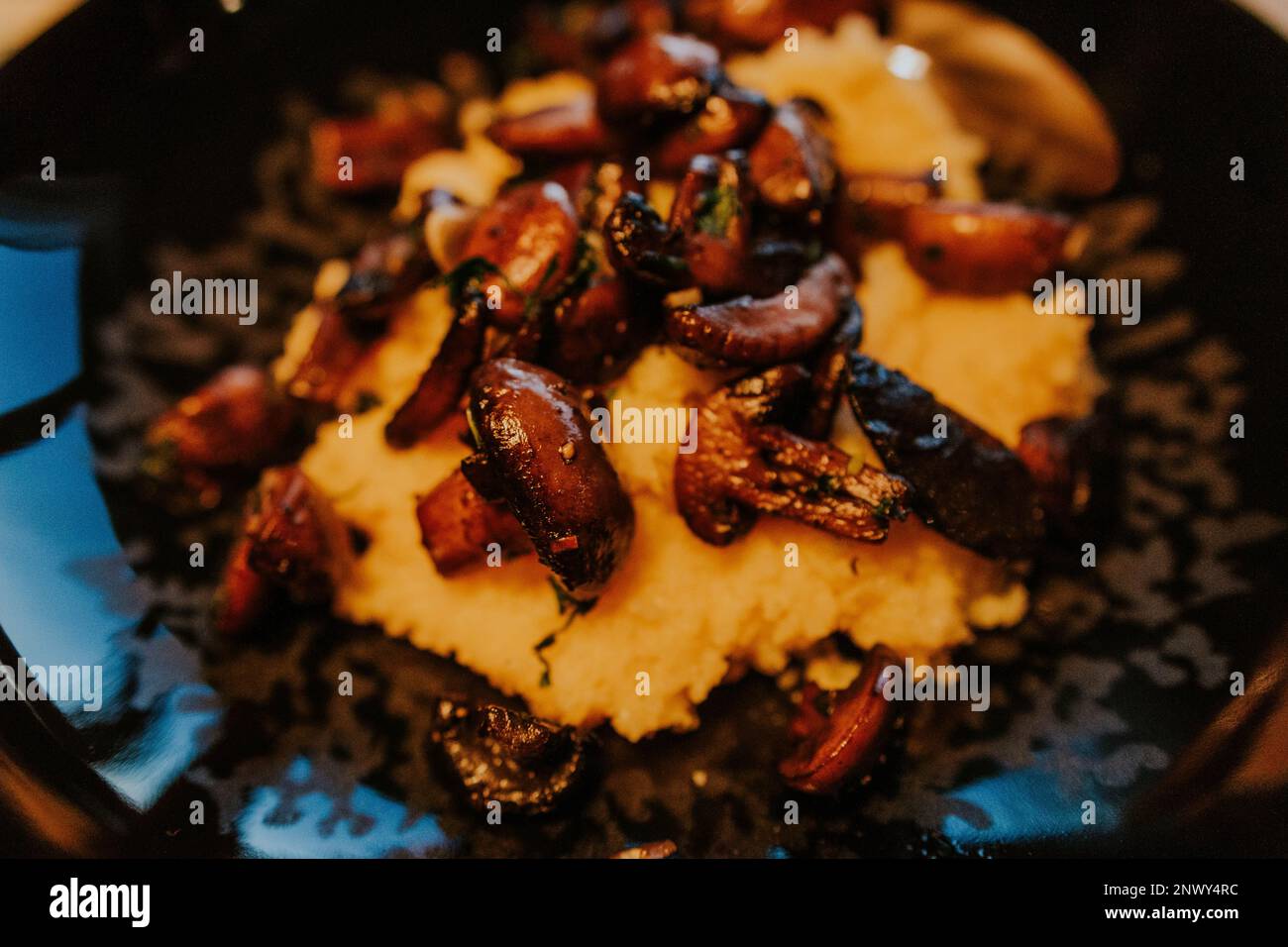 Cooking traditional east European cuisine in the kitchen Stock Photo ...
