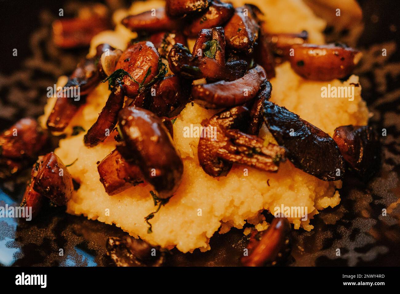 Cooking traditional east European cuisine in the kitchen Stock Photo ...