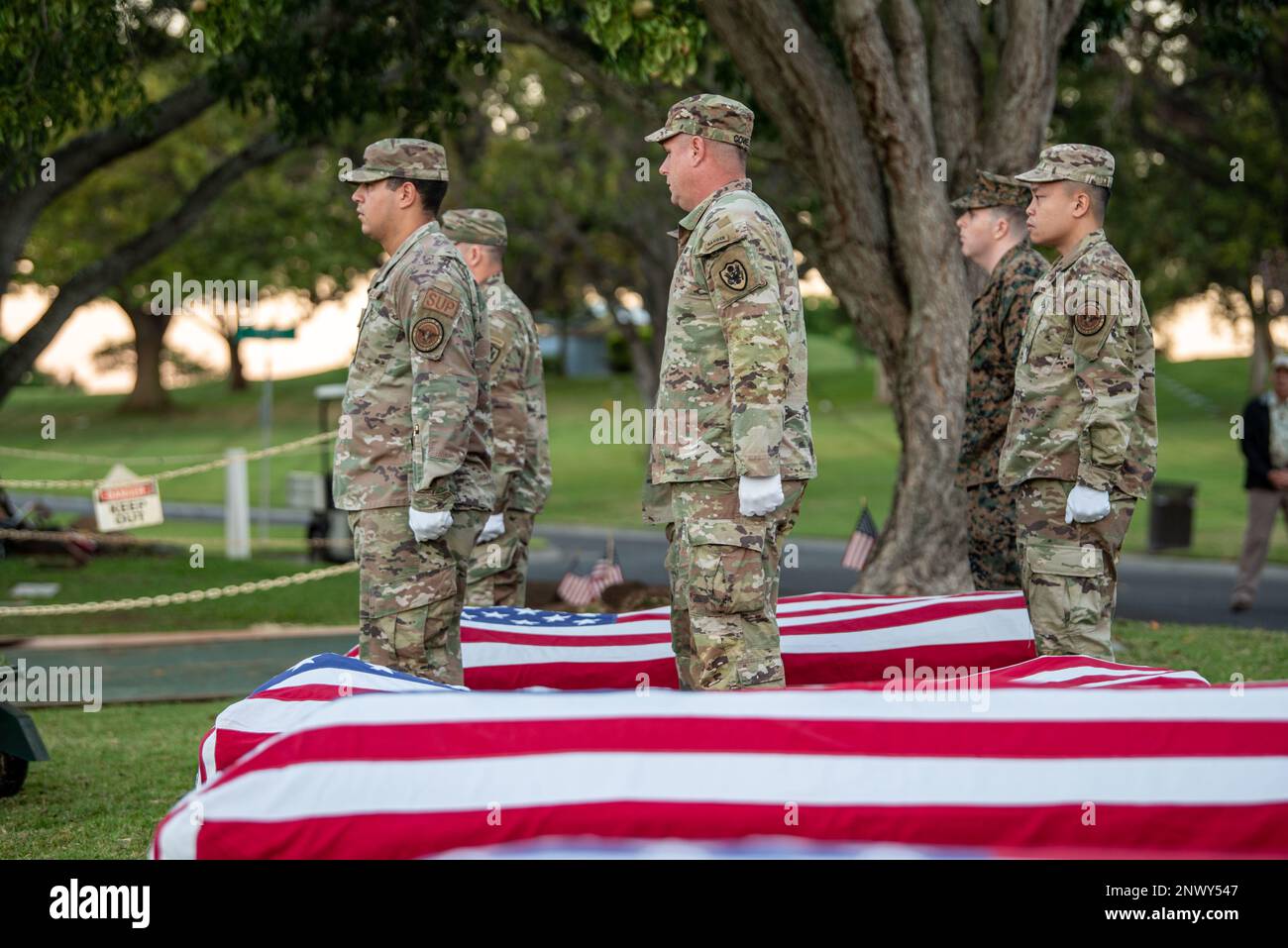 Members of the Defense POW/MIA Accounting Agency (DPAA) participate in ...