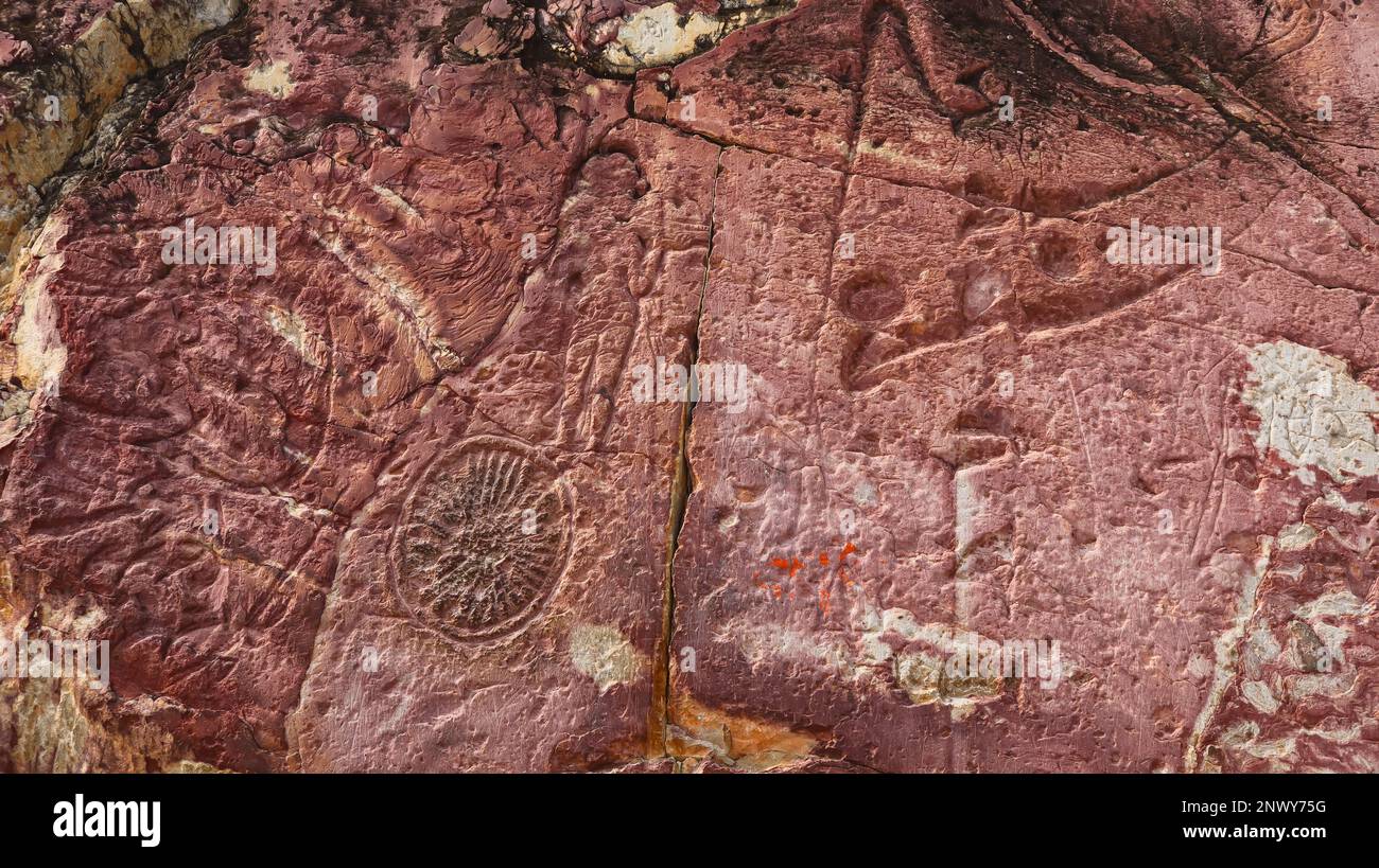 Ancient Jain Saint Sculptures Carvings on the Sone Bhandar Caves ...