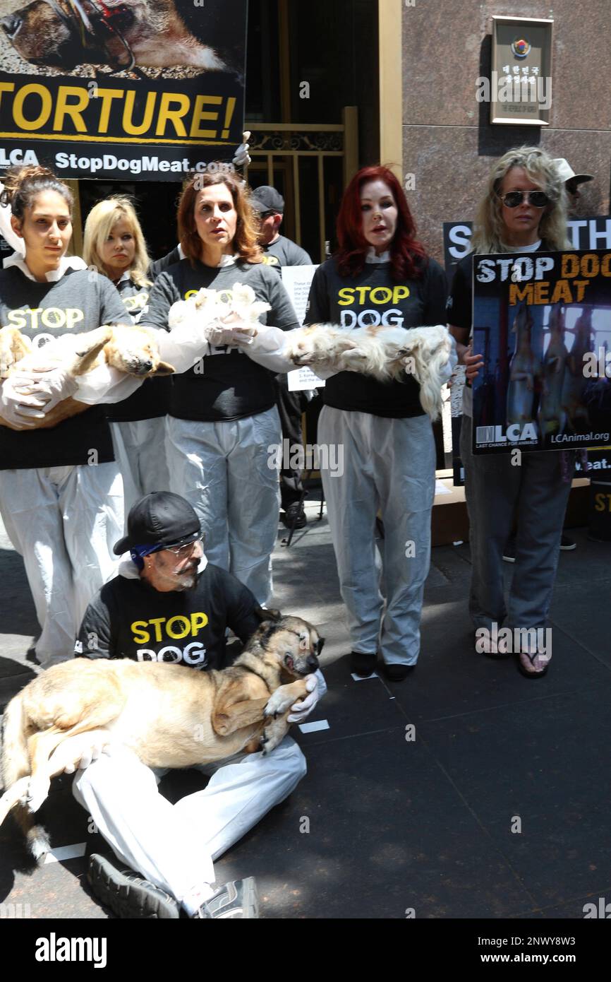 Photo by: gotpap/STAR MAX/IPx 2018 7/17/18 Kim Basinger, Priscilla ...