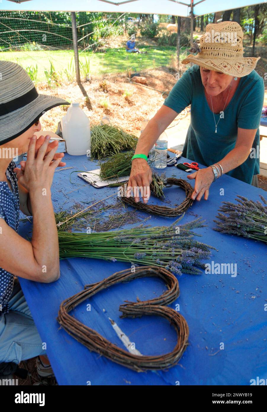 With the motto Tour Taste Discover, the inaugural Nevada County Farm ...