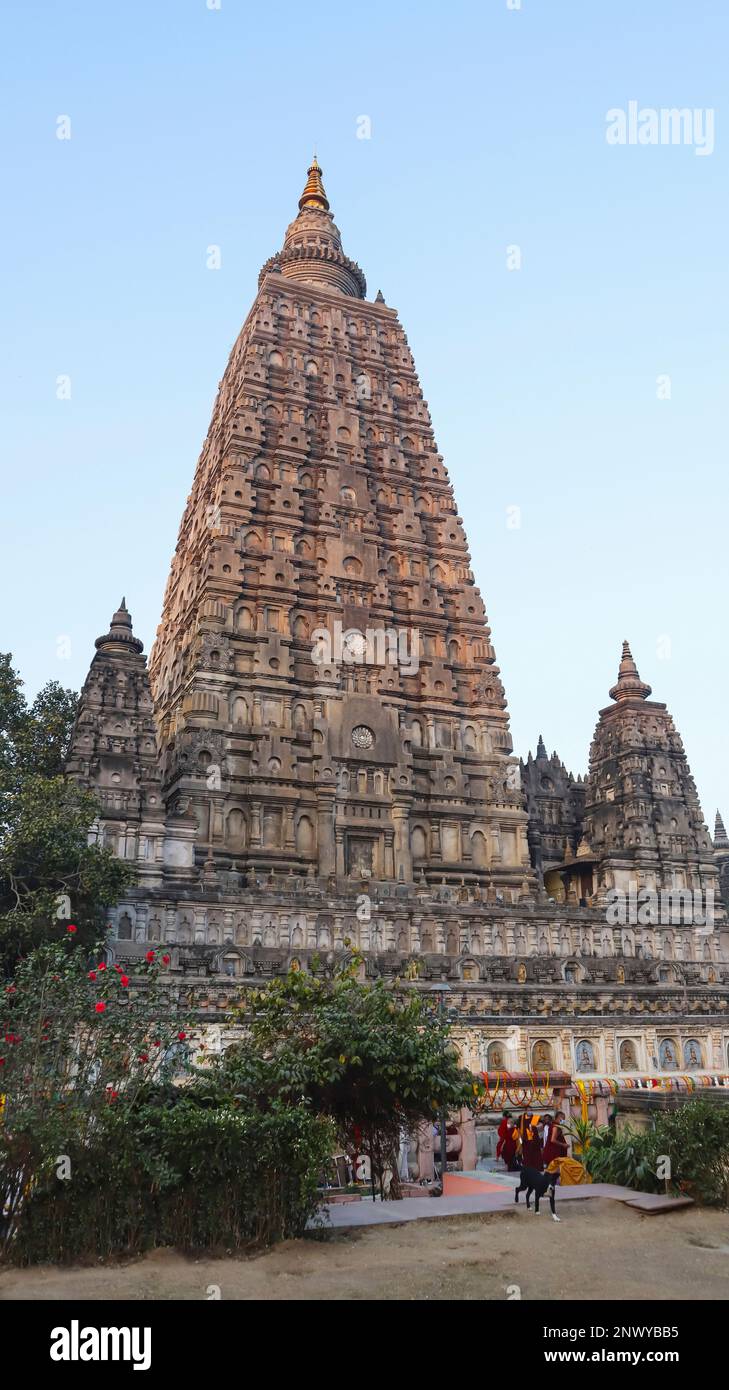 INDIA, BIHAR, BODH GAYA, January 2023, Buddhist Monks at the Mahabodhi ...