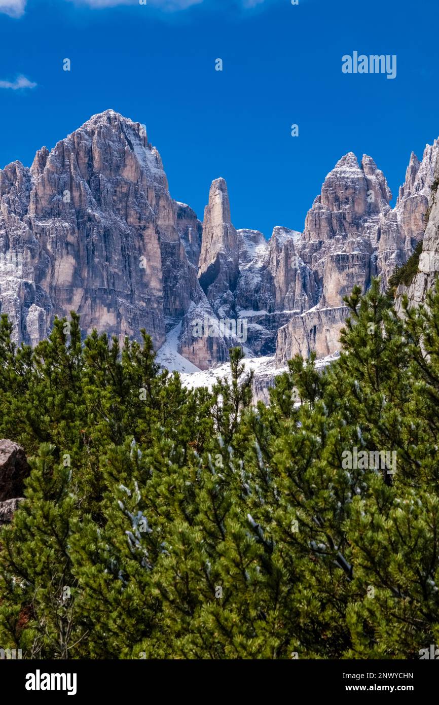 The main range of Brenta Dolomites with Cima Brenta Alta, Campanile ...
