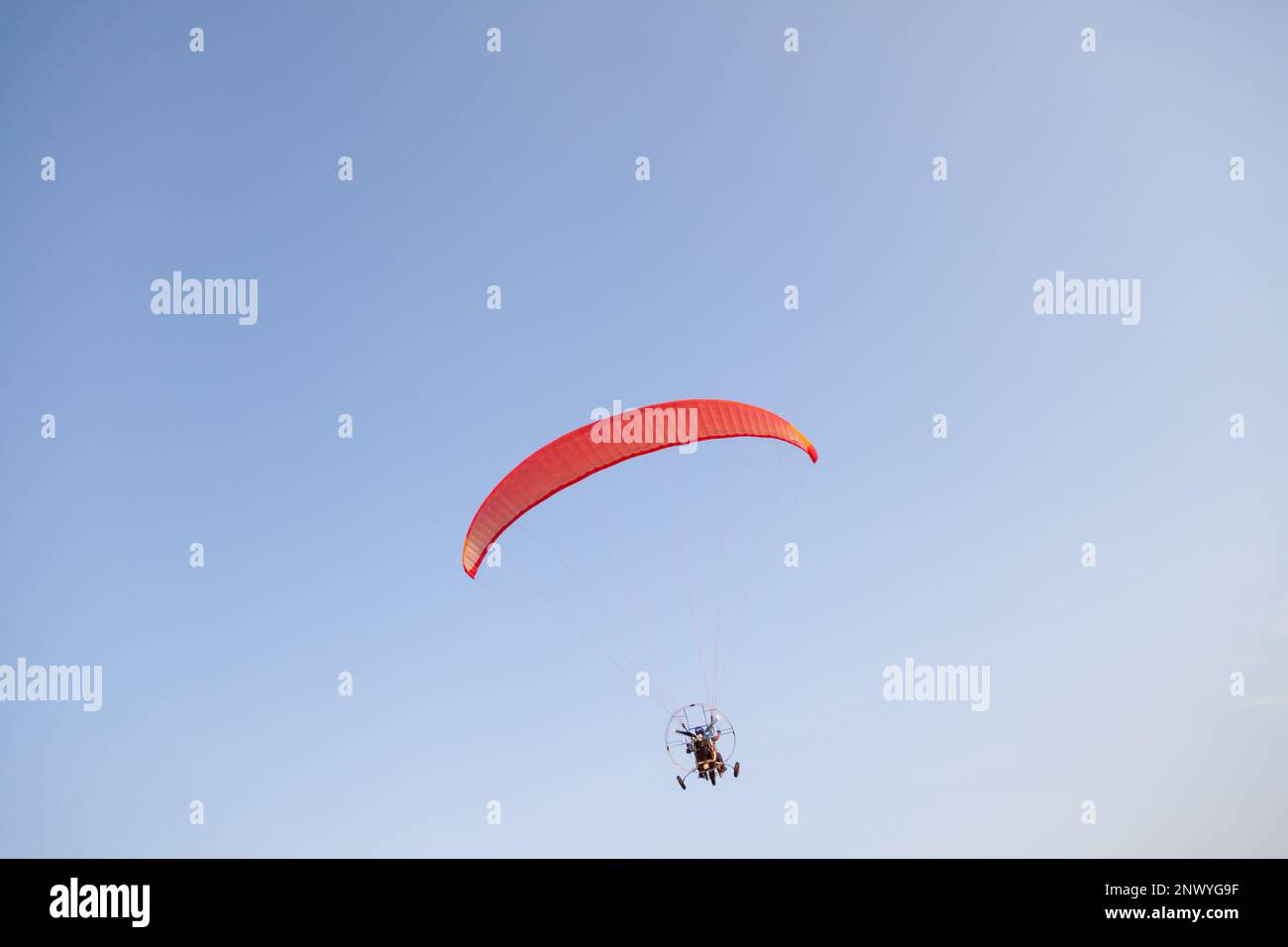 a red motorized paraglider in the blue sky flies with two passengers on ...