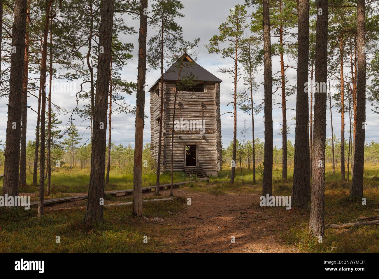 Wooden observation tower in the woods. Tower looks like a tall wooden ...