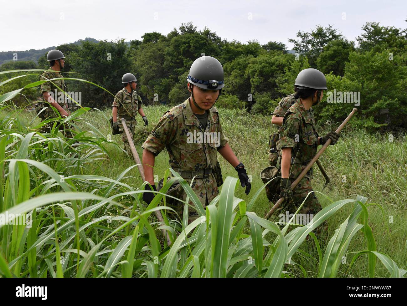 Self-Defense Force officials conduct a search operation to find missing ...