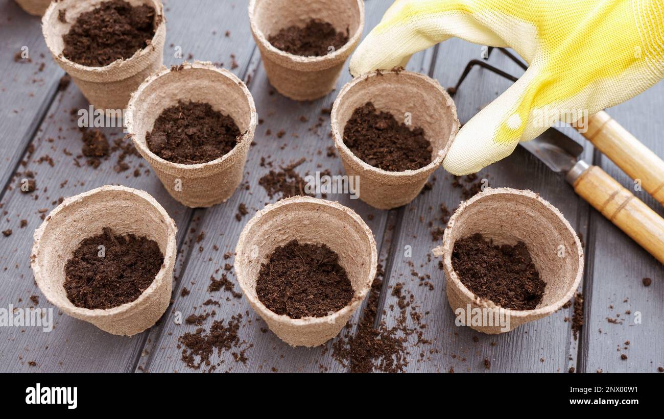 Close up of hand in yellow glove holding eco friendly biodegradable ...