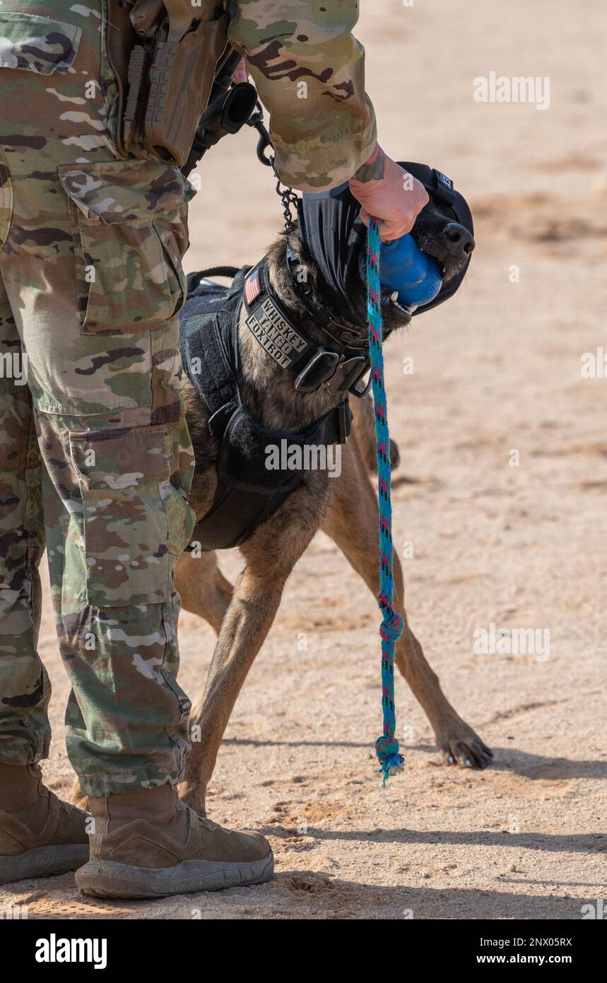 U.S. Air Force Staff Sgt. Leirin Simmons, 378th Expeditionary Security ...