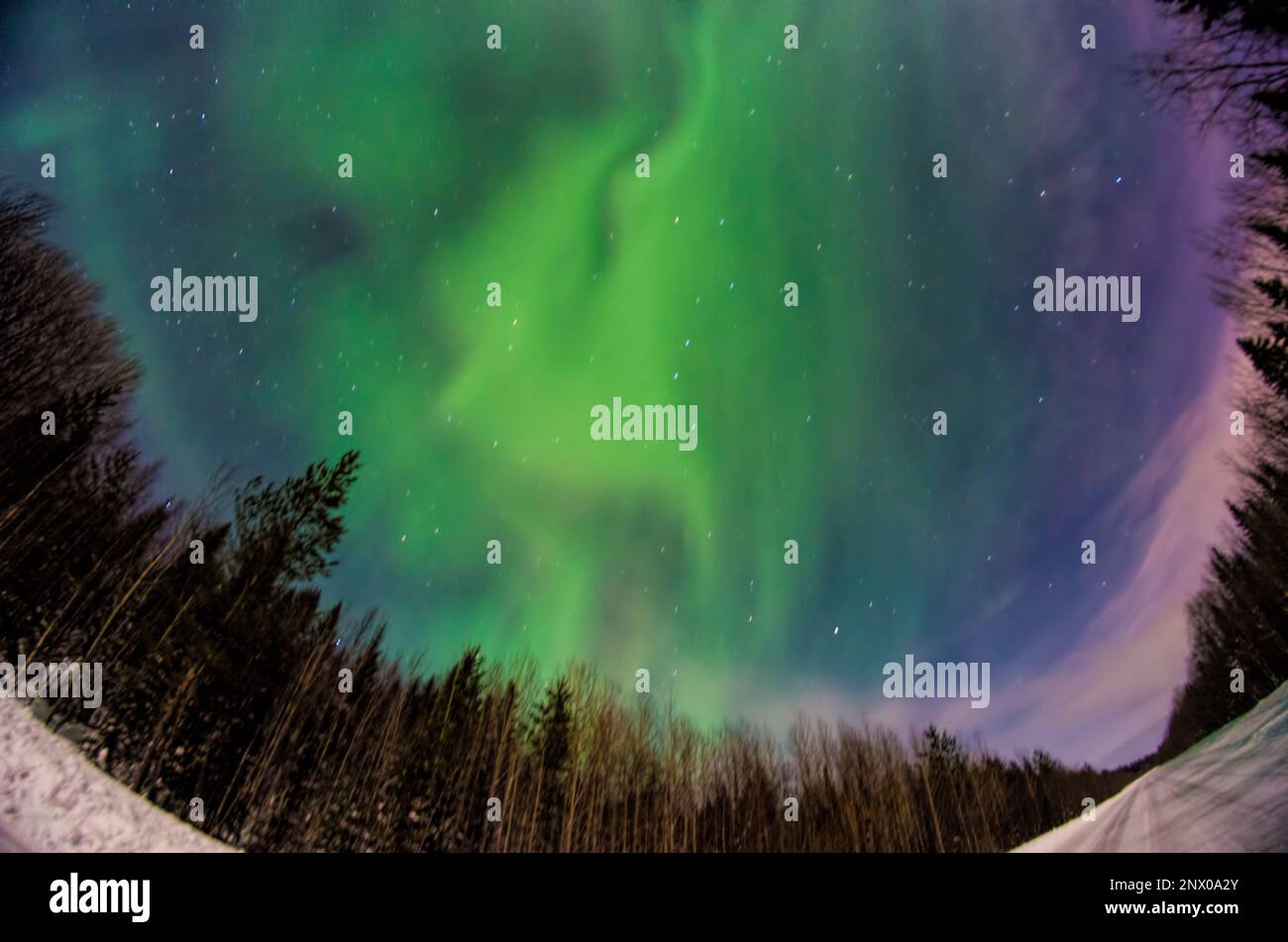 Strong aurora hi-res stock photography and images - Alamy
