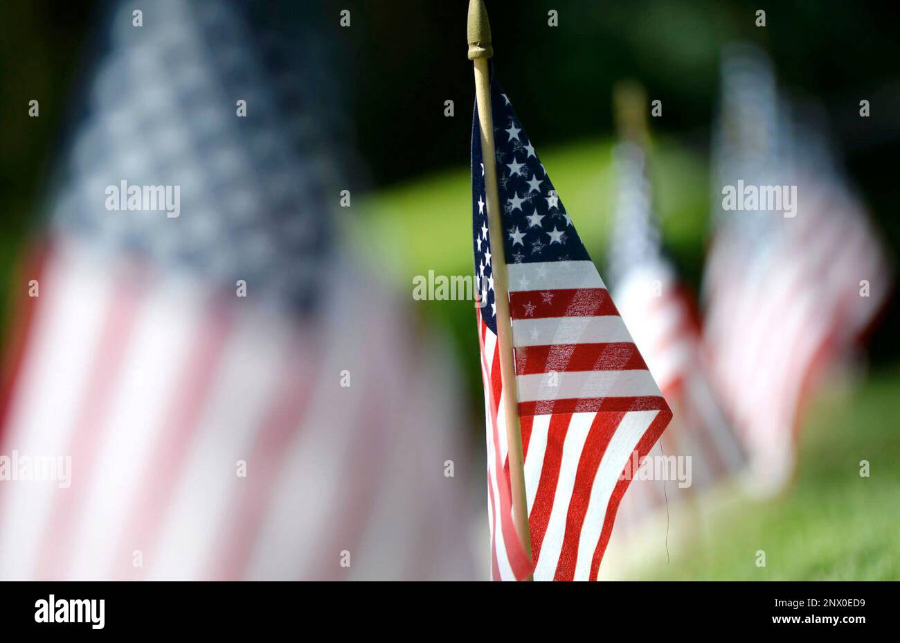 American flags line the front yard at the home of Hagerstown, Md ...