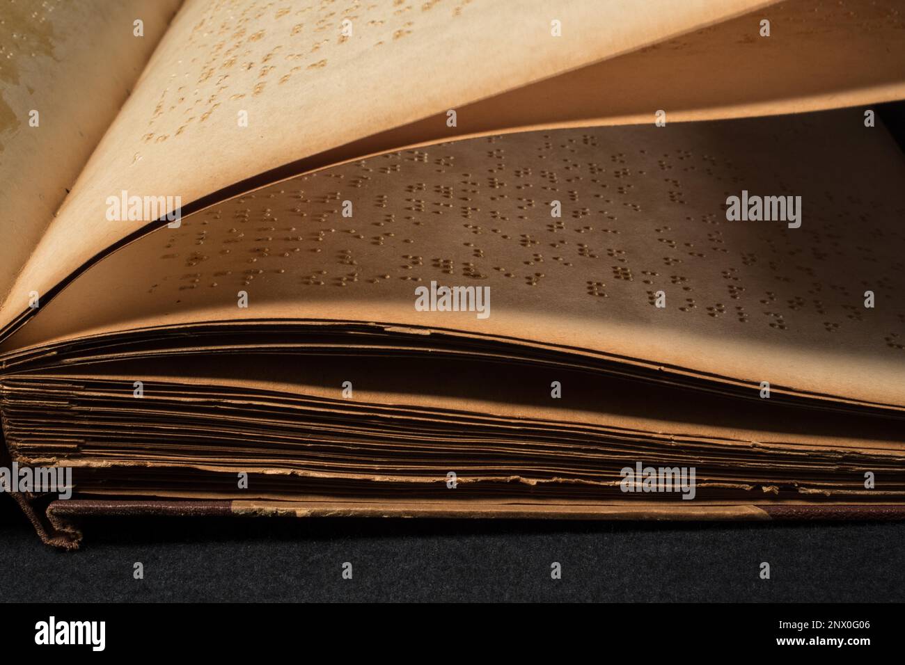 January is World Braille Month in honor of Louis Braille who was born ...