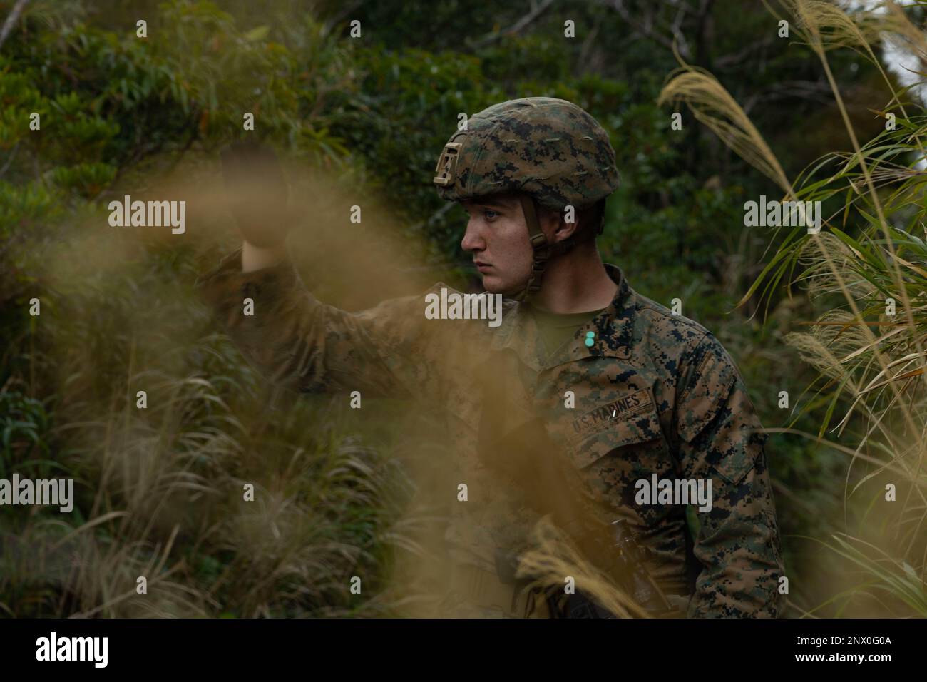 U.S. Marine Corps Lance Cpl. Zachary C. Graham with Headquarters ...