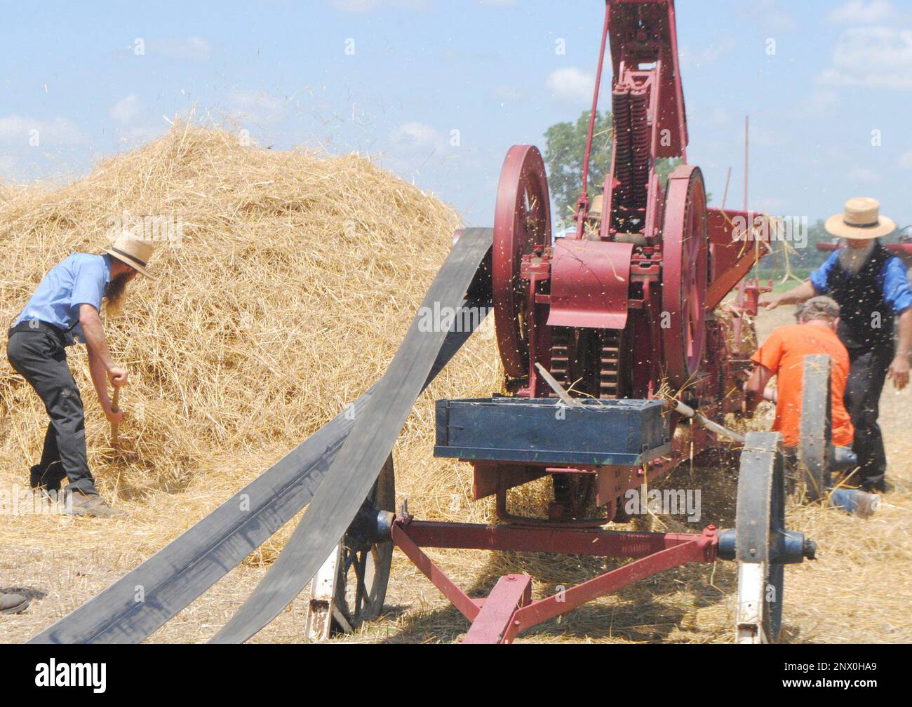 In this June 30, 2018 photo, volunteers fork wheat shocks into a belt ...